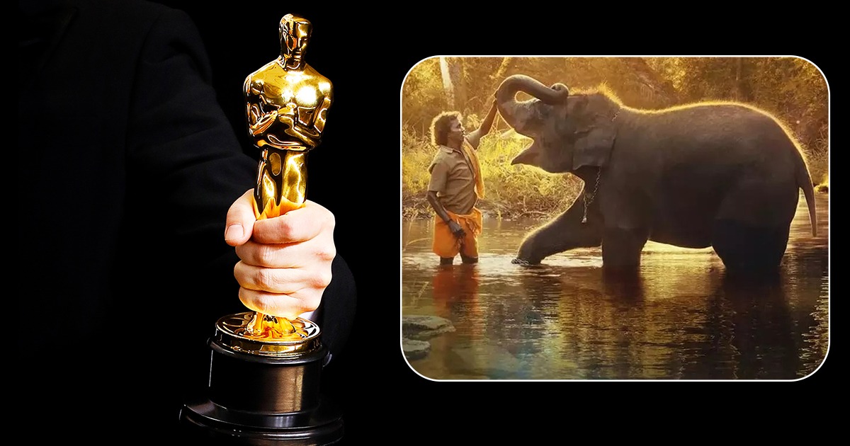 The Elephant Whisperer Won Oscar Award 2023: ऑस्कर जिंकणाऱ्या ‘द एलिफंट ...