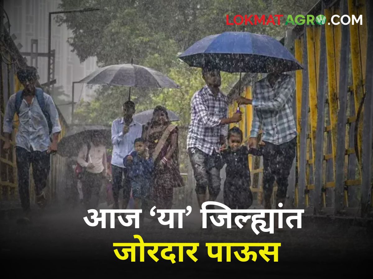 Today's Rain Updates : आज राज्यात जोरदार पाऊस! 'या' जिल्ह्यांना पावसाचा ...
