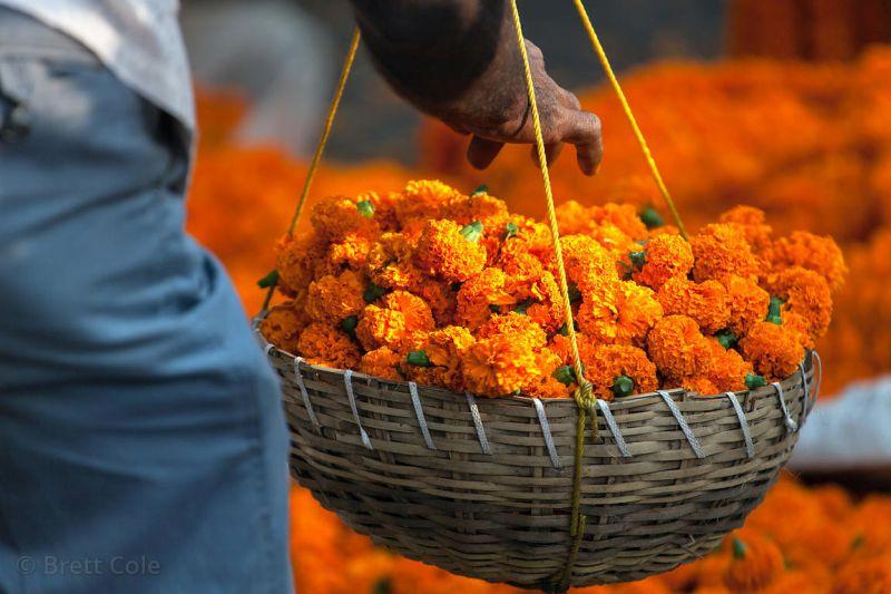 झेंडू १०० रुपये किलो; हार ५० रुपये मीटर, दसऱ्यानिमित्त बाजारात उलाढाल ...