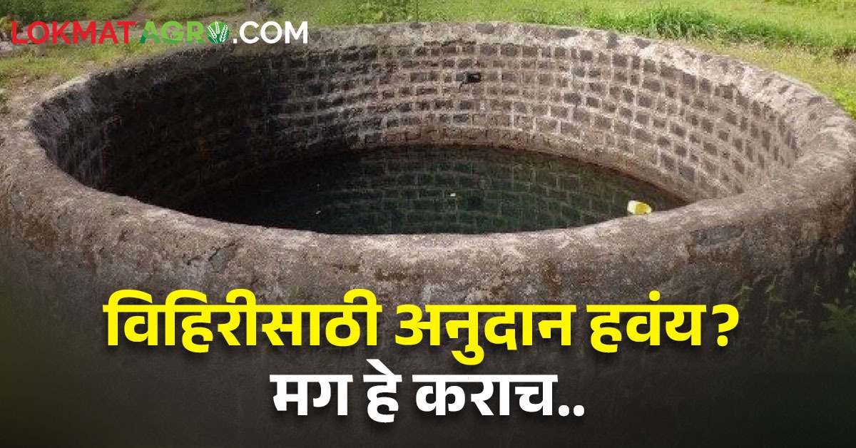 विहिरीसाठी अनुदान हवंय? मग हॉर्टी ॲपवर नोंदणी करा, काय आहेत निकष ...