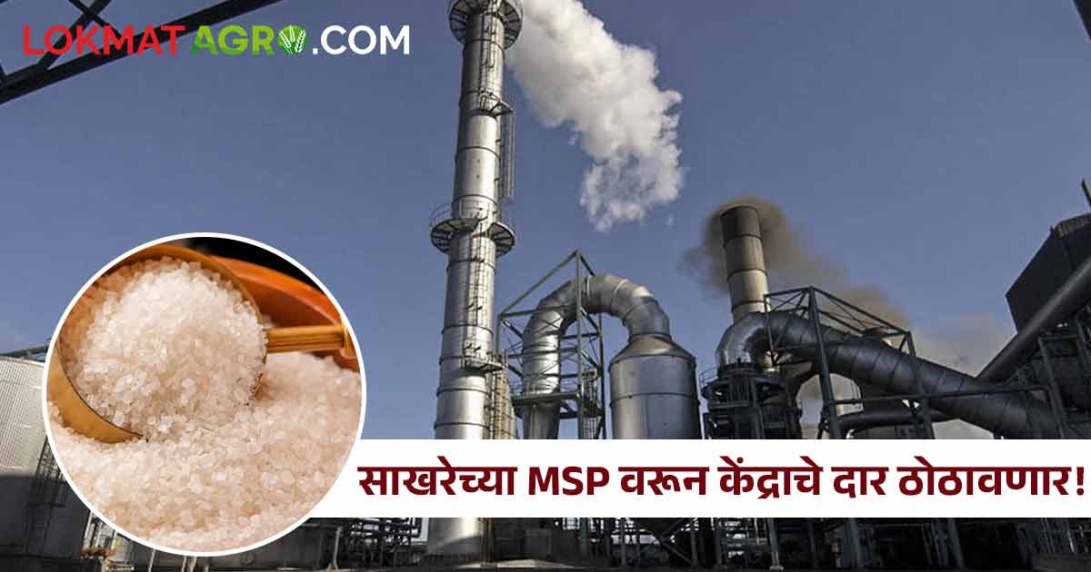 Sugar MSP : साखरेच्या MSPमुळे कारखाने अडचणीत; दर वाढवण्यासाठी ठोठावणार ...
