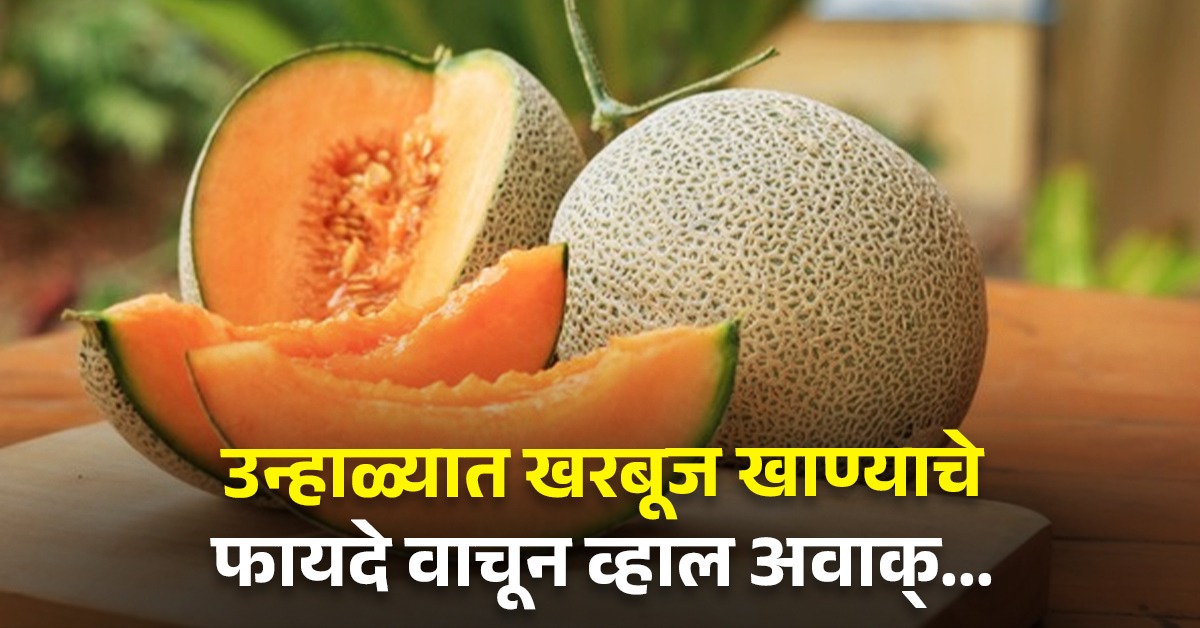 उन्हाळ्यात शरीराच्या अनेक समस्या दूर करतं खरबूज, फायदे जे तुम्हालाही ...
