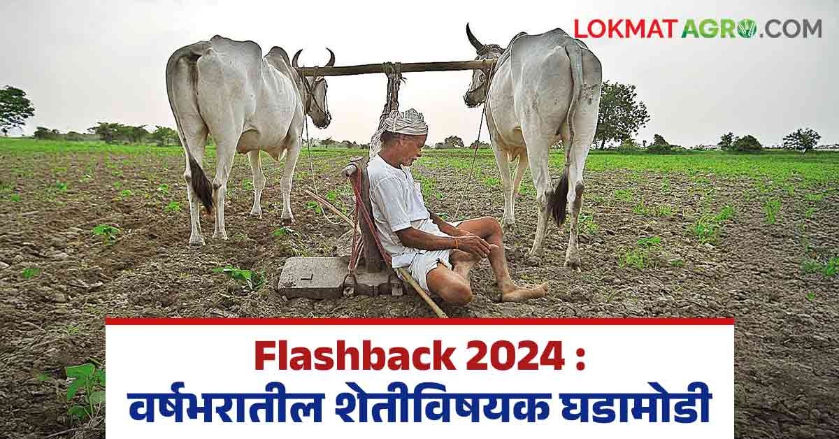Flashback 2024 : कांदा निर्यात बंदी मागे घेण्यापासून किसान आंदोलनापर्यंत, 2024 मध्ये काय-काय ...