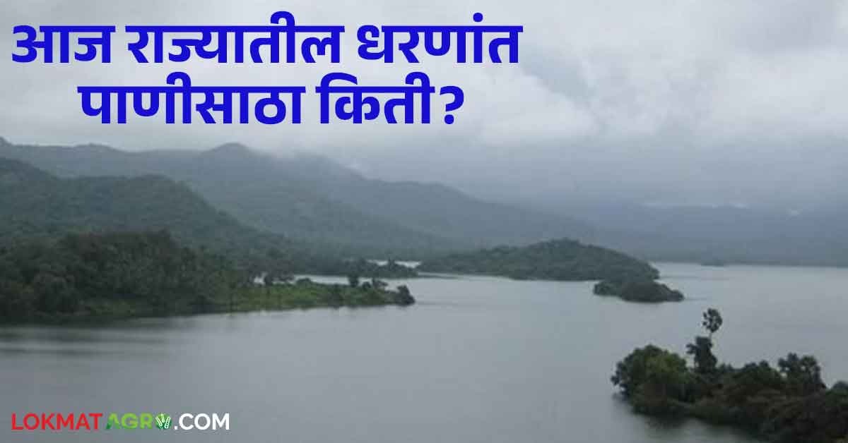 Maharashtra Dam Storage : राज्यातील कुठले धरण भरले, कोणत्या धरणातून ...