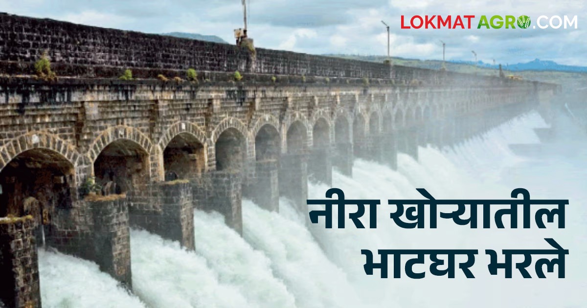 Bhatghar Dam : नीरा खोऱ्यातील भाटघर १०० टक्के भरले; नीरा नदीपात्रात ...