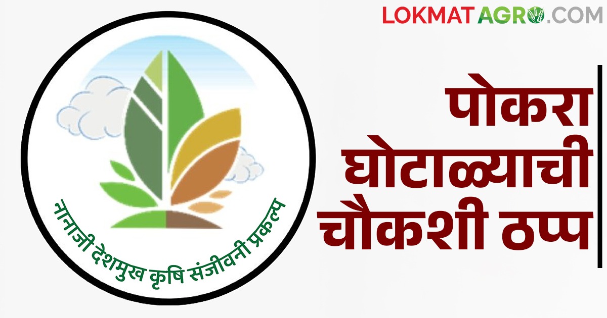 कोट्यवधी रुपयांच्या पोकरा घोटाळ्याची १५ दिवसांची चौकशी वर्ष झाले तरी ...