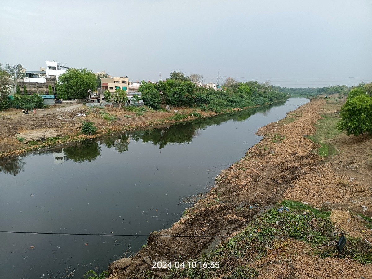 जलपर्णीच्या विळख्यातून मुक्त होतेय मोर्णा, अडीच किमीपर्यंतचे पात्र ...