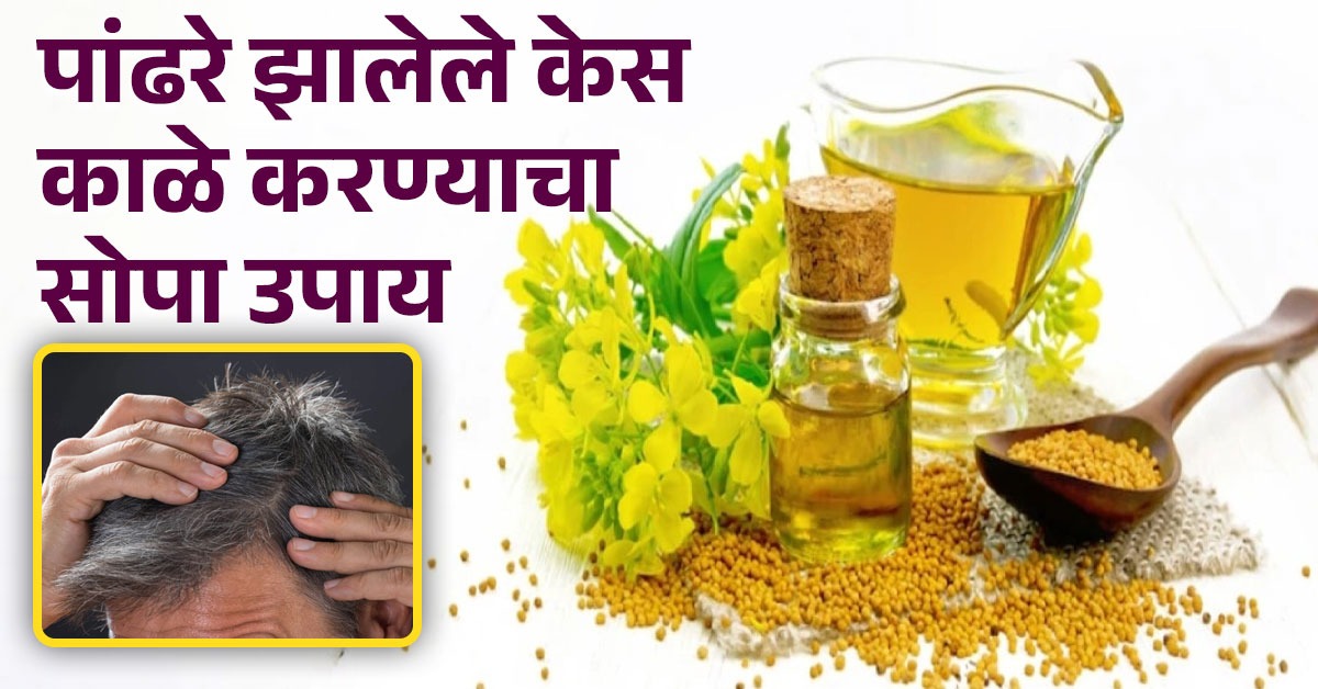 पांढरे झालेले केस काळे करण्याचा बेस्ट उपाय, मोहरीच्या तेलाचा असा करा ...