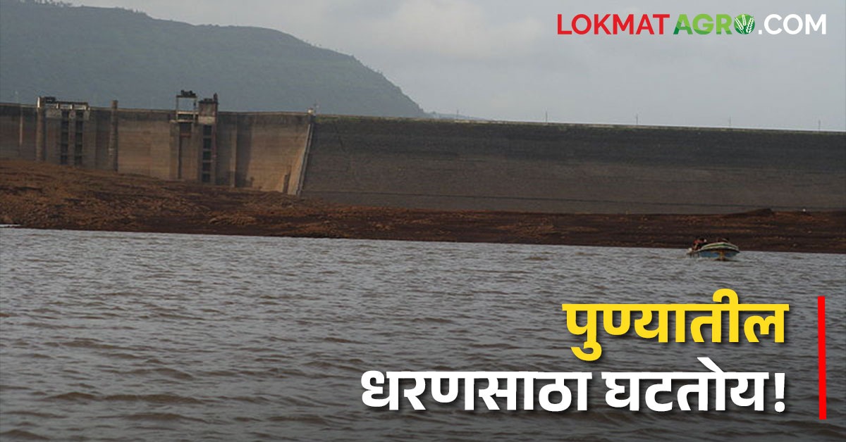 Pune Dam storage: पुणेकरांनाे पाणी जपून वापरा, धरणांमध्ये आता राहिलंय ...