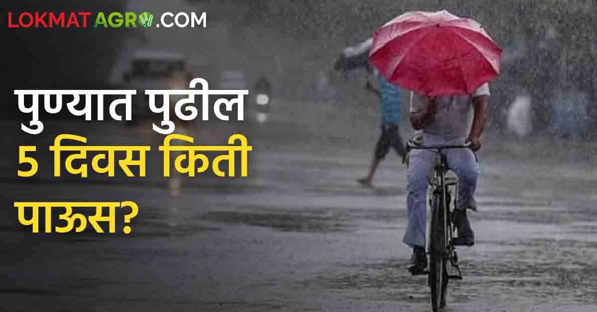 Pune Rain Updates : पुणे जिल्ह्यांत ५ दिवसांत किती पडेल पाऊस? काय आहेत ...