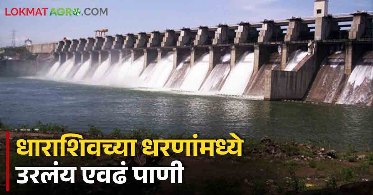 धाराशिवमधील धरणांमध्ये पाणीसाठा वाढतोय, निम्न तेरणासह सिना कोळेगाव ...