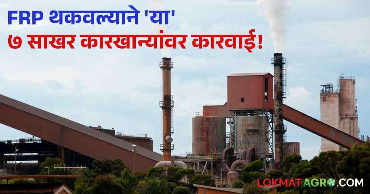 Sugarcane Factory FRP : FRPची रक्कम थकवल्याने ७ साखर कारखान्यांवर साखर ...