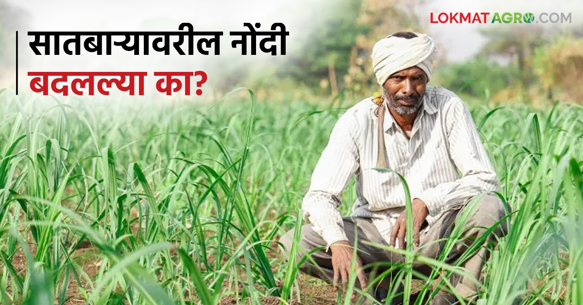 Satbara Varas Nond : तुम्ही सातबाऱ्यावरील वारस नोंदी बदलल्या का? जाणून ...