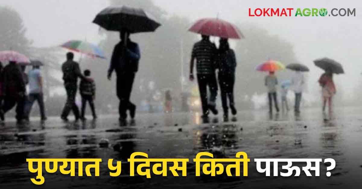 Pune Latest Rain Updates : पुण्यात पुढील ५ दिवसांत किती पाऊस? काय आहेत ...