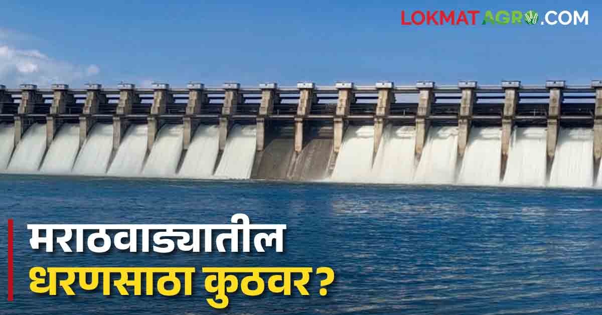 Marathwada Dam Water: मराठवाड्यातील धरणांमध्ये राहिलंय एवढं पाणी ...