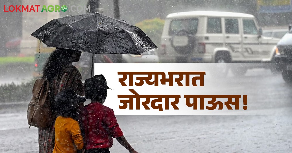 Maharashtra Rain : राज्यभरामध्ये जोरदार पाऊस! काय आहेत हवामान विभागाचे इशारे? | Maharashtra Rain ...