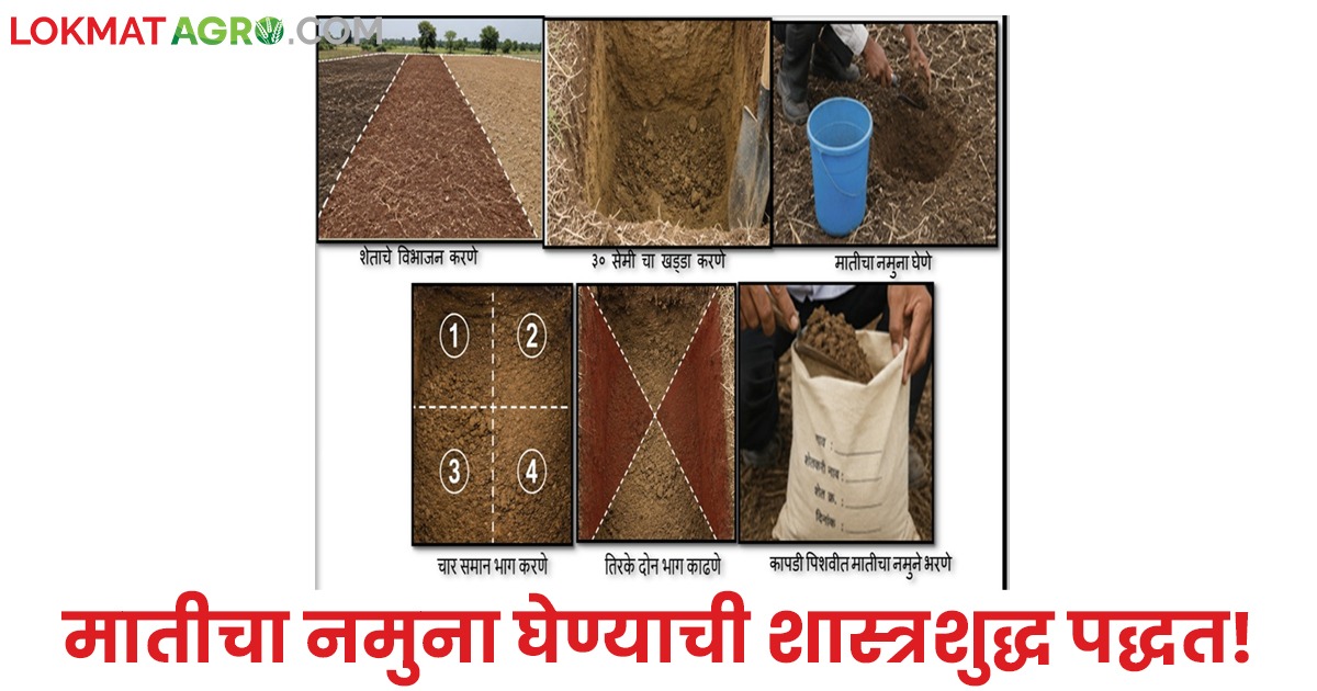 Soil Testing : मृदा परीक्षण हीच प्रगत शेतीची गुरुकिल्ली | Soil Testing ...