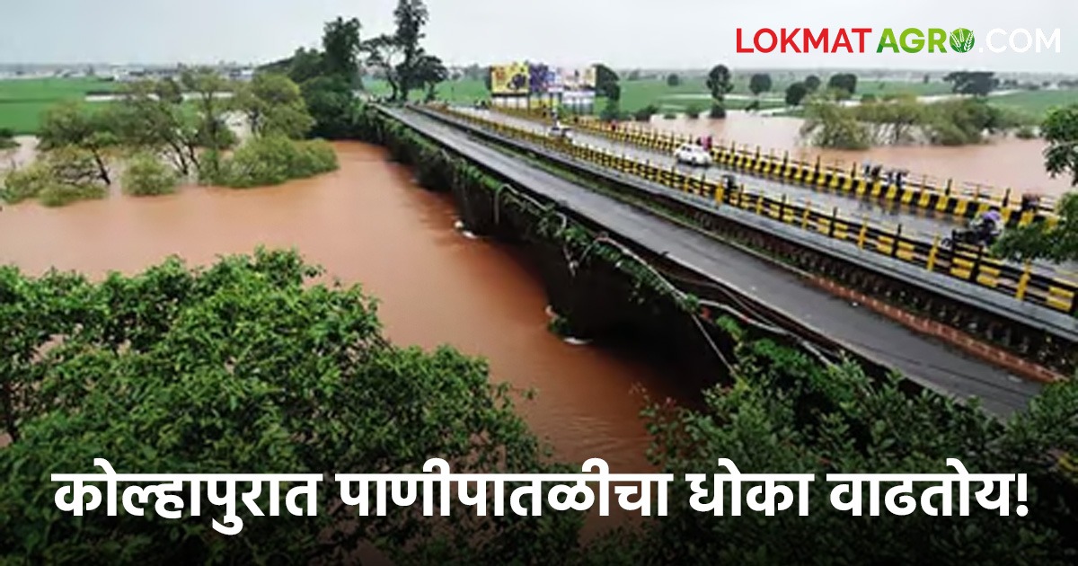 Kolhapur Flood Updates : कोल्हापुरात पंचगंगेची पाणीपातळी किती? किती आहे ...