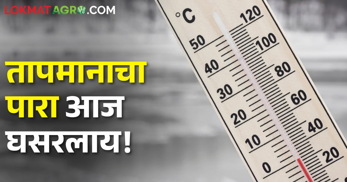 राज्यात किमान व कमाल तापमानाचा पारा घसरला, उद्यापासून... | Minimum and ...