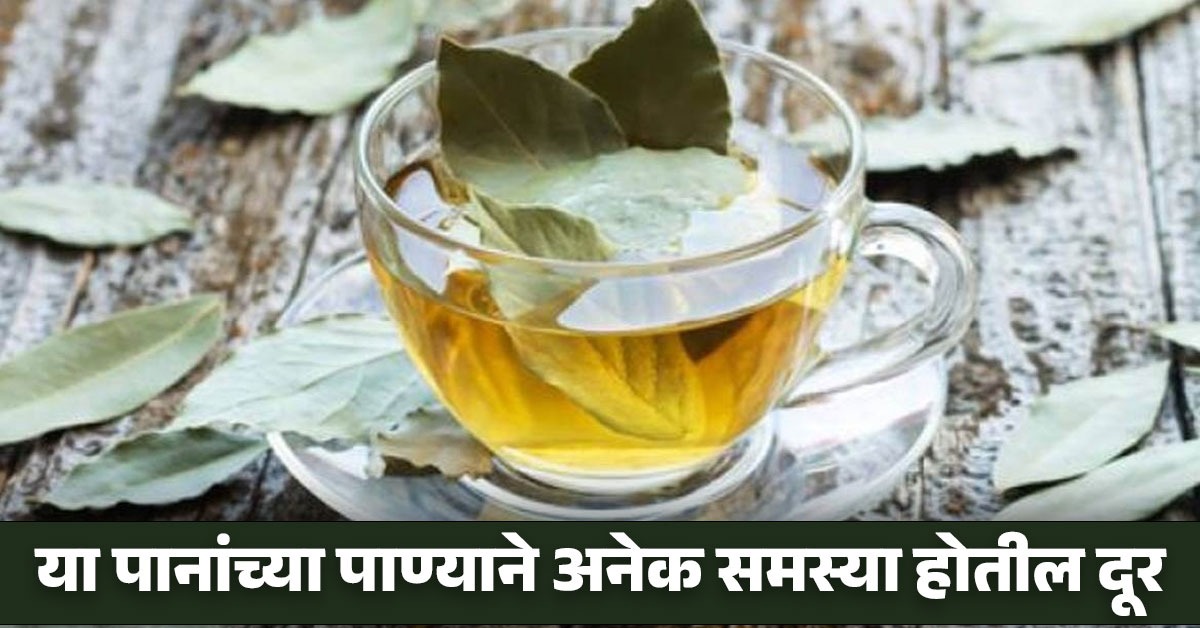 रोज सकाळी रिकाम्या पोटी प्या तमालपत्राचं पाणी, फायदे वाचून लगेच सुरू कराल हा उपाय! - Marathi ...