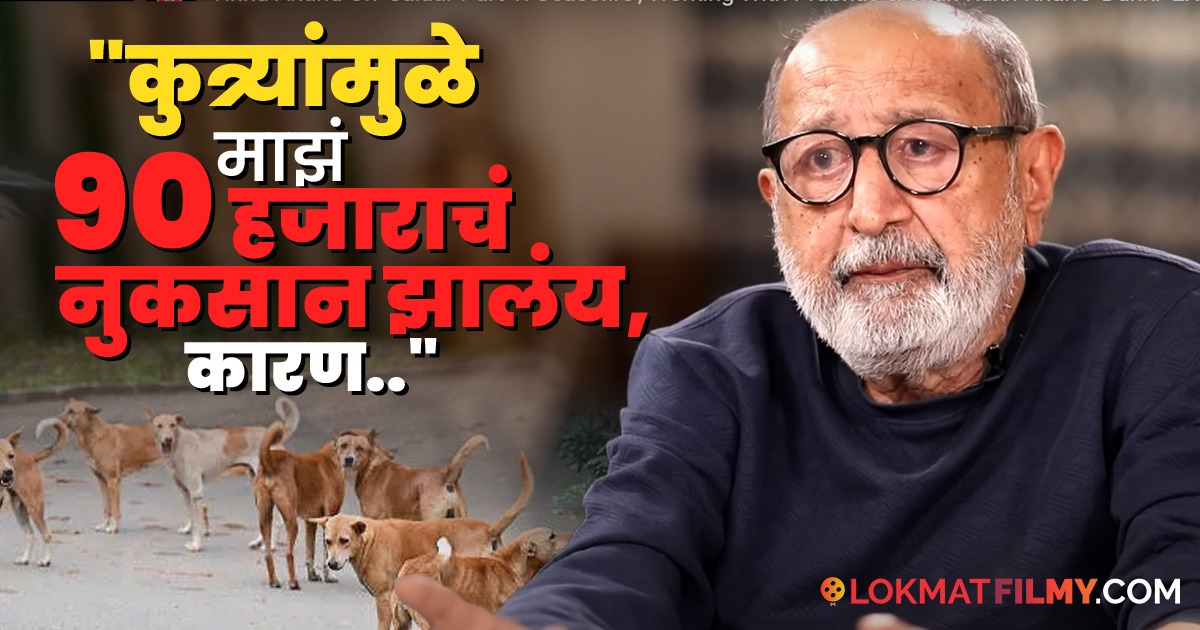 "भटक्या कुत्र्यांनी हल्ला केल्याने माझ्या मुलीला.."; ज्येष्ठ ...