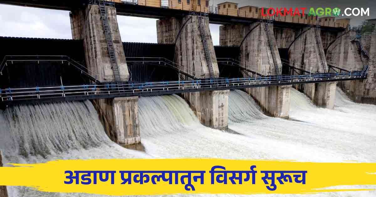 Water Release सततच्या पावसामुळे आवक होतच असल्याने अडाण प्रकल्पातून ...