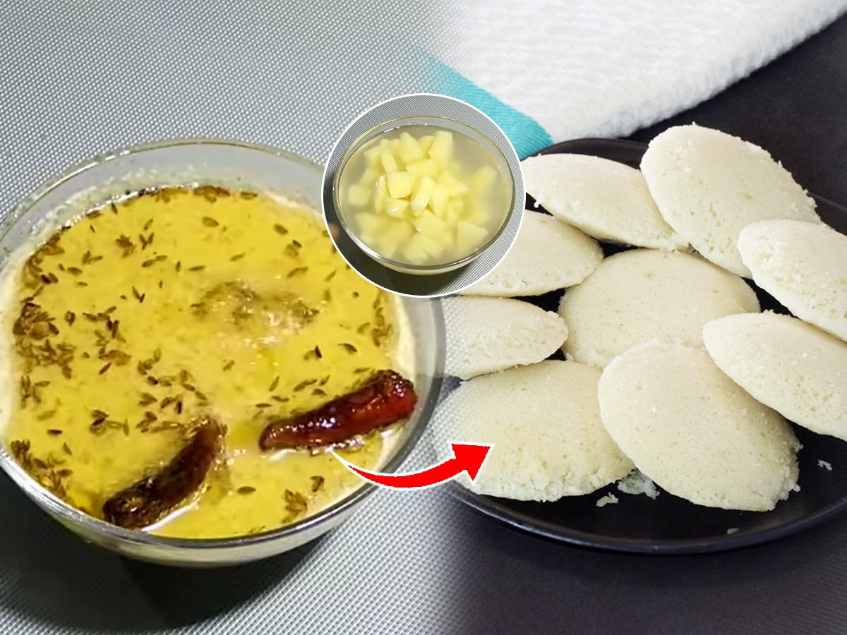 उपवासाला खिचडी- वडे नेहमीचेच; ट्राय करा पीठ न भिजवता झटपट इडली-चटणी ...