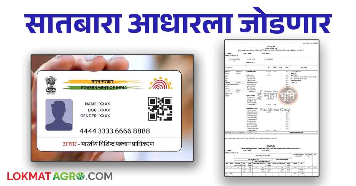 Satbara Record : तुमच्या नावावर किती शेती हे कळणार आता एका क्लिकवर ...