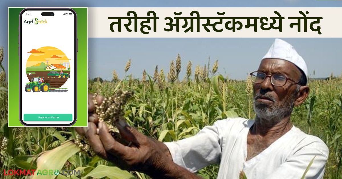 Farmer ID : शेतजमिनीवर अनधिकृतपणे घरे खरेदी बांधली, पण आता.... नेमकं ...