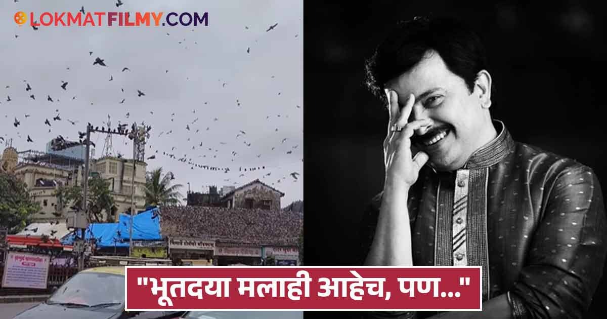 "कबुतर हा कुठल्या एका धर्माचा पक्षी वाटत असेल तर...", दादर ...