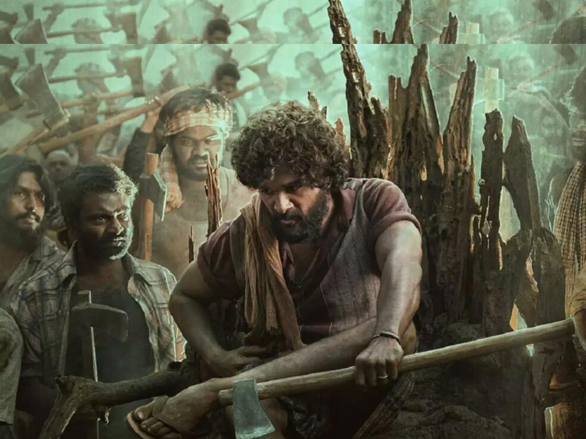 Pushpa 2 Update: 'पुष्पा २'मध्ये सलमान खानच्या सिनेमातील खलनायकाची ...