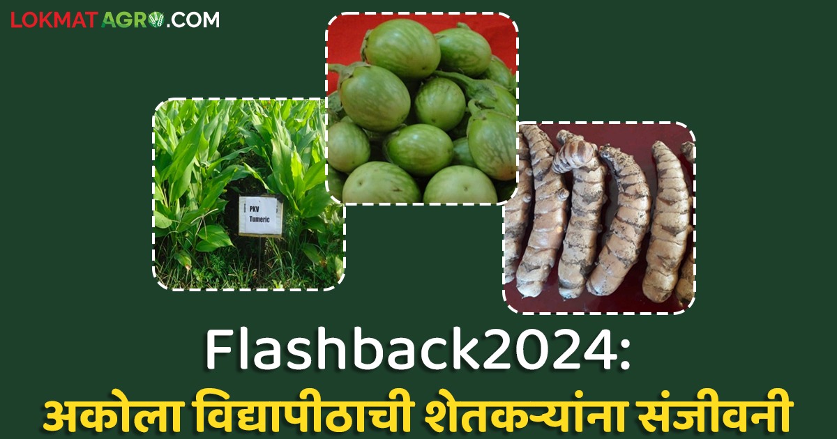 Akola Agricultural University gave new recommendations for farmers