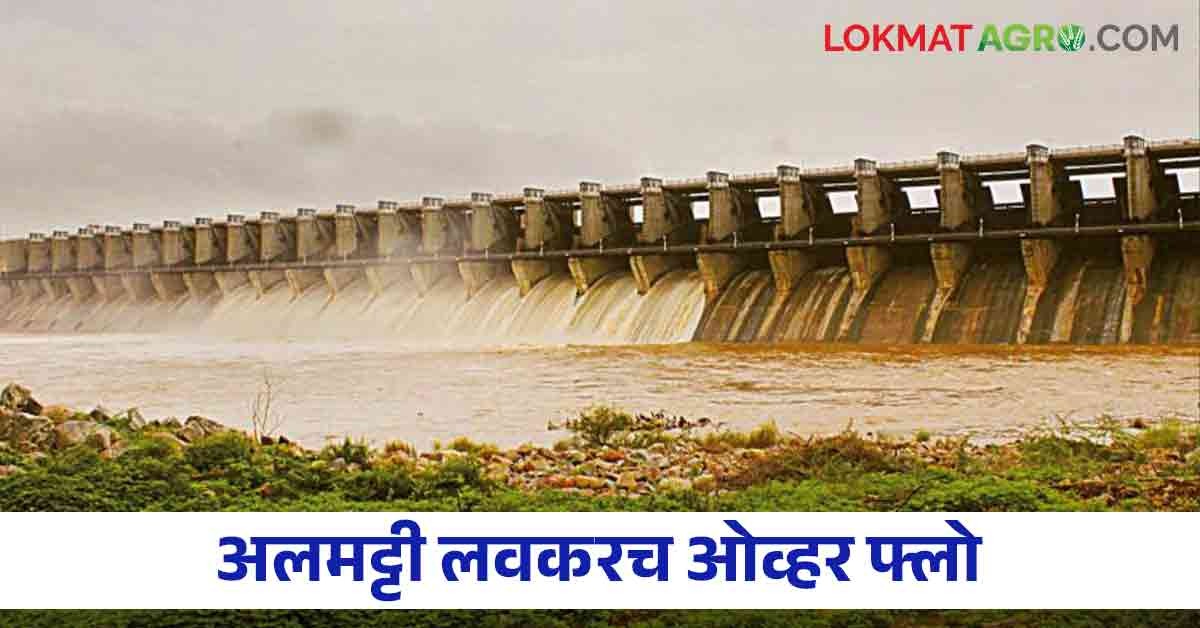 Almatti Dam: अलमट्टीच्या पाण्यात झपाट्याने वाढ, धरणात किती टक्के ...