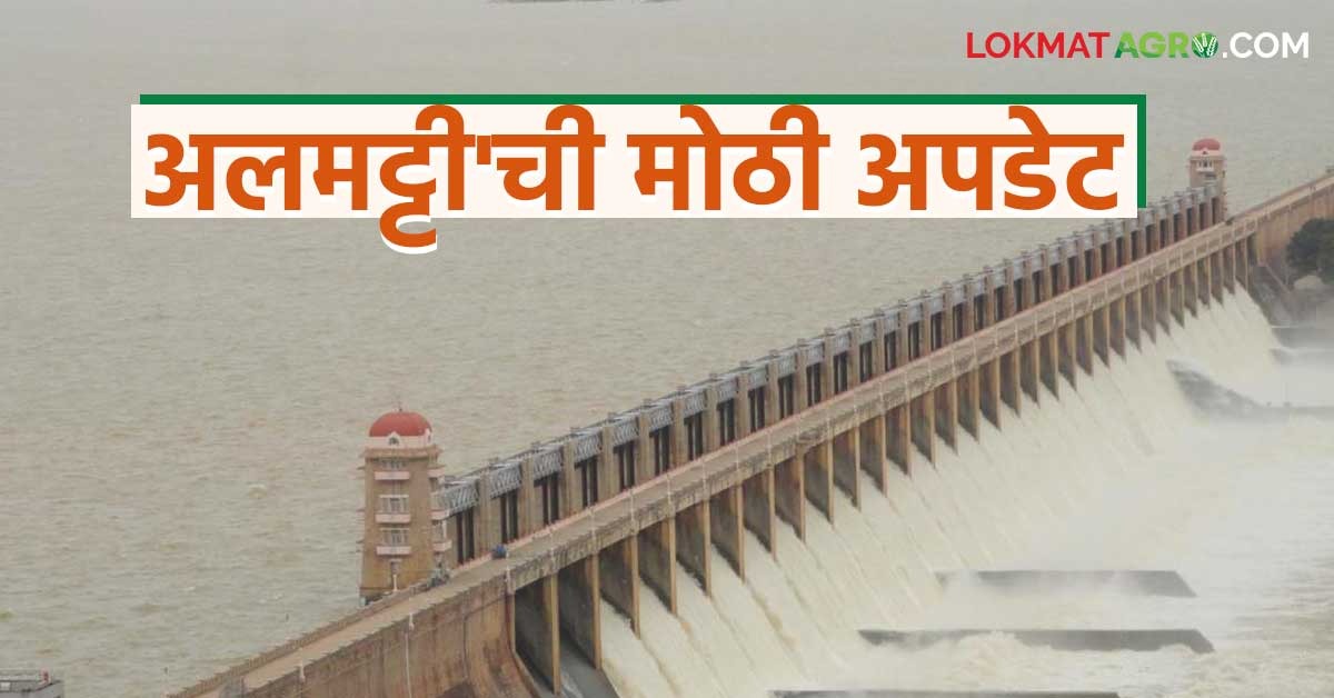 'अलमट्टी'चा पाणीसाठी १०० टीएमसीवर, धरणाचे सगळे दरवाजे उघडले; पुराचा ...