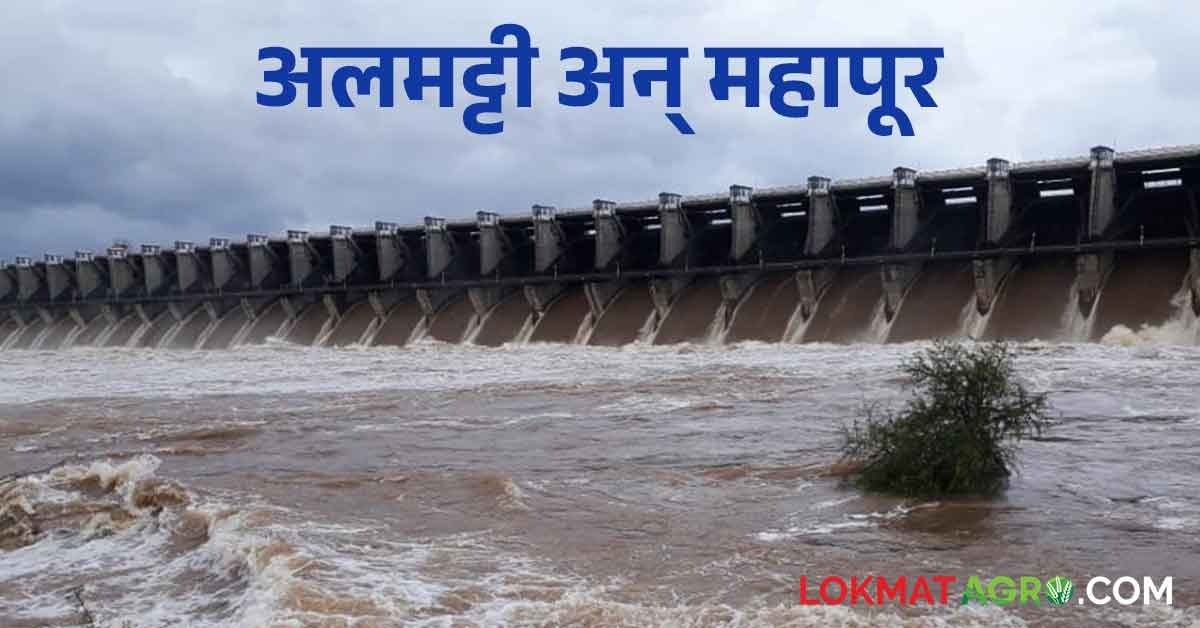 Almatti Dam अलमट्टीमधील पाणीसाठा केंद्रीय जल आयोगाच्या निकषांनुसार ...
