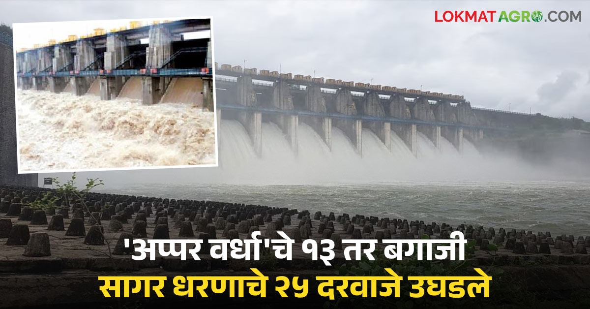 अप्पर वर्धा धरणाची १३ तर बगाजी सागर धरणाचे २५ दरवाजे उघडले; वर्धा ...
