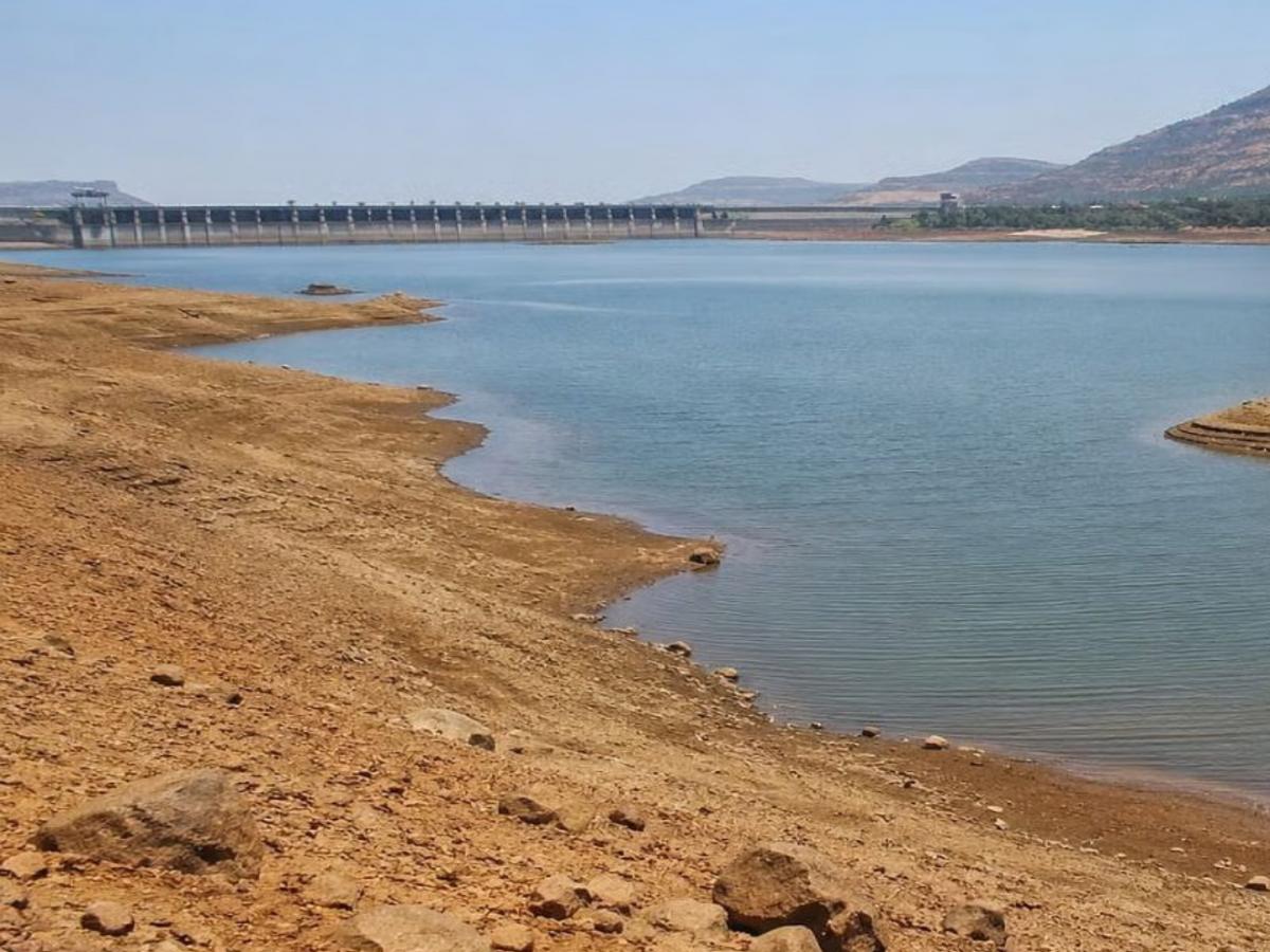 आंध्रा धरणातील पाणीसाठा ३०.५७ टक्क्यांवर;शेतकऱ्यांची वाढली चिंता Pune ...