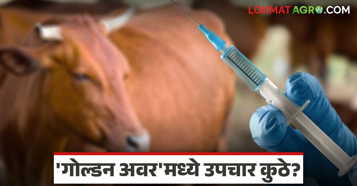 latest news Animal Healthcare: 69 veterinary clinics, 1.72 lakh ...
