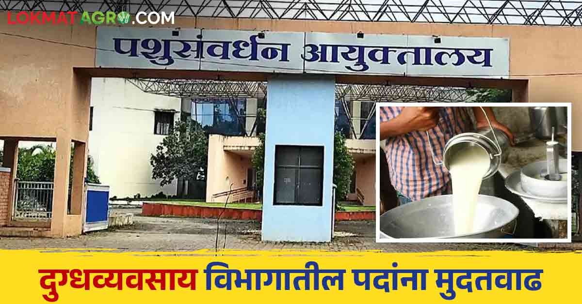 Dugdh Vikas Vibhag : दुग्धव्यवसाय विकास विभागातील ९८६ पदांना ...