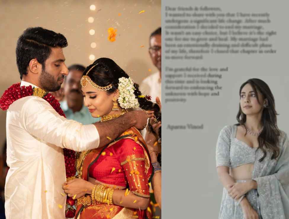 प्रसिद्ध अभिनेत्रीचा लग्नानंतर २ वर्षांतच घटस्फोट, म्हणाली ...