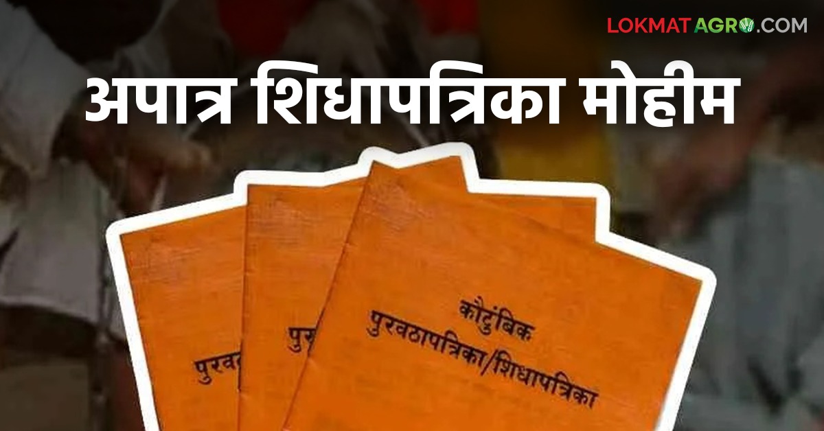 Ration Card : कुणाचं रद्द होणार, कुणाला मिळणार नवीन रेशन कार्ड, जाणून ...