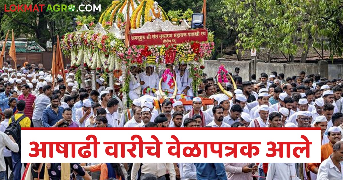 Ashadhi Wari 2026: आषाढी वारी पालखी सोहळ्याचे वेळापत्रक जाहीर; वाचा ...