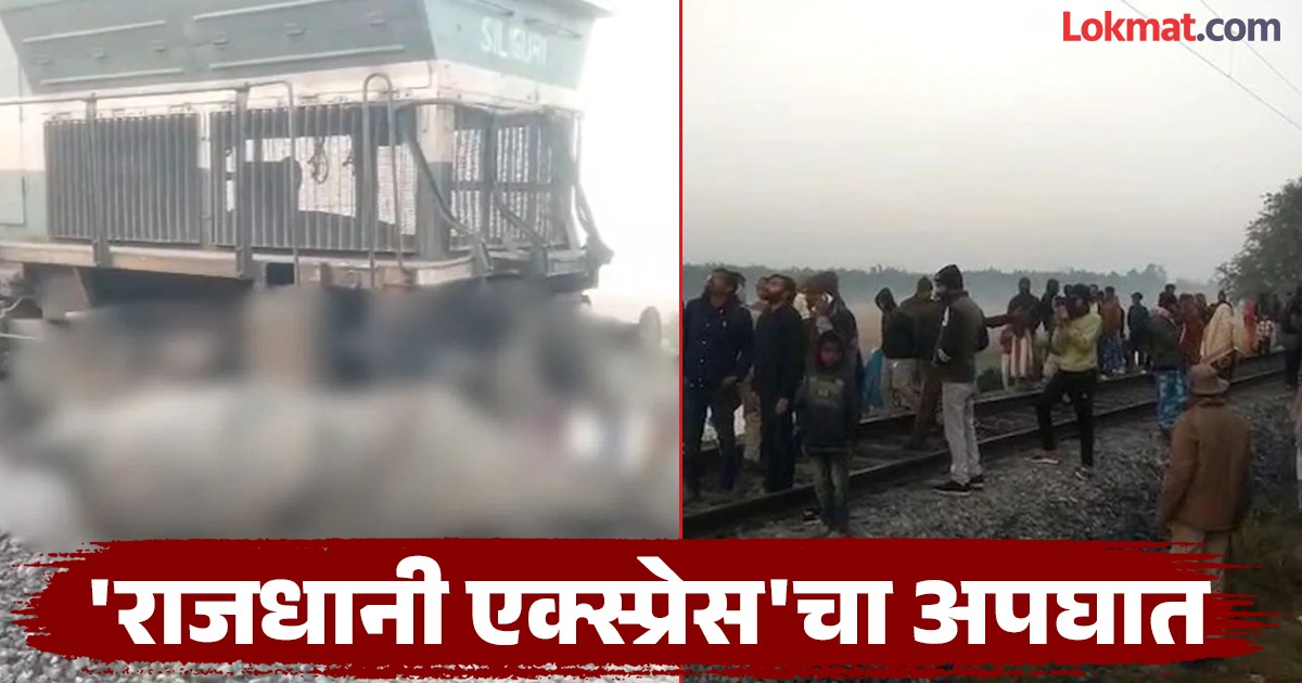 राजधानी एक्स्प्रेसचा भयंकर अपघात, धडकेत अनेक हत्तींचा मृत्यू, रेल्वे ...