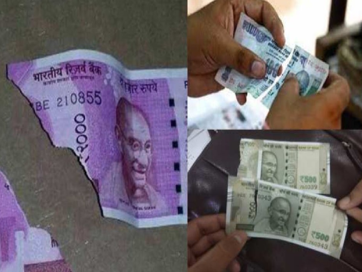 ATMमधून फाटलेल्या नोटा निघाल्यावर काय करावे? जाणून घ्या प्रोसेस ...