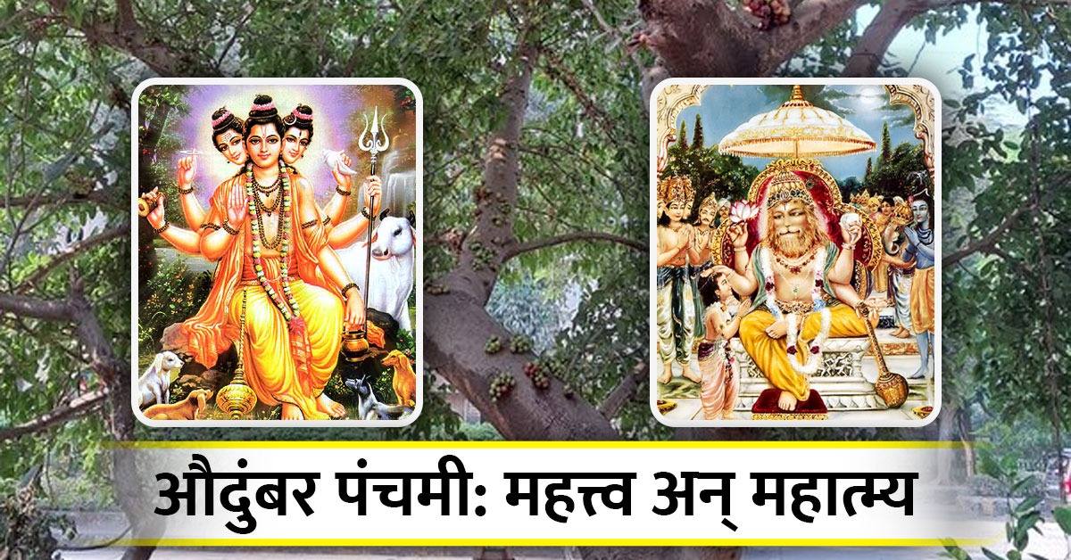 औदुंबर पंचमी: नेमकी का साजरी केली जाते? जाणून घ्या वृक्षाचे दैवी गुण ...