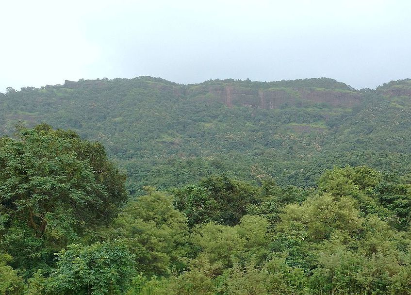 नागोठण्याजवळच्या अवचित गडावर अडकले होते ट्रेकर्स, दारु पिऊन ट्रेकर्सवर ...