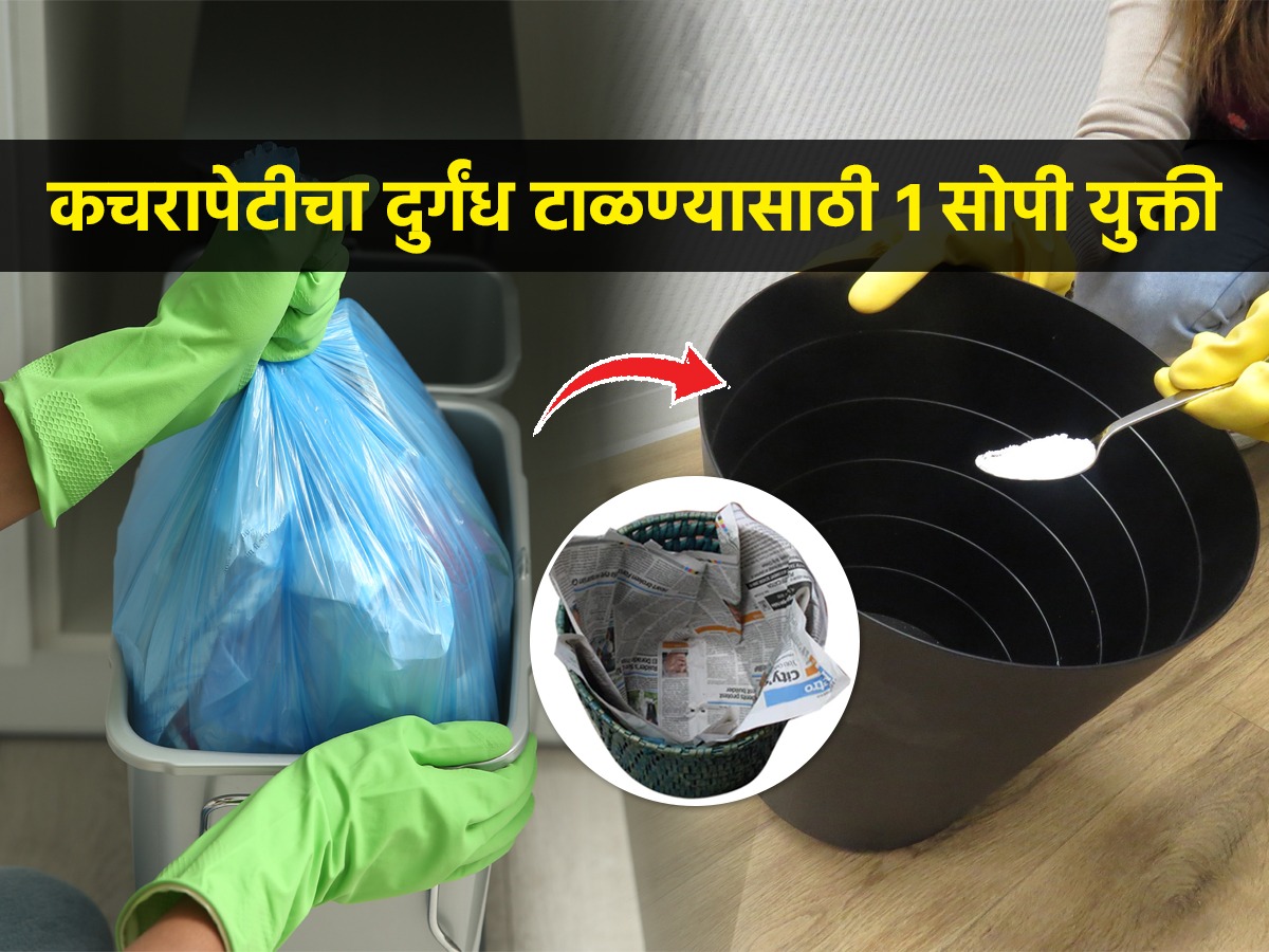 डस्टबीनमधून येणारा वास घरभर पसरतो, कचरापेटी साफ ठेवण्याची १ सोपी युक्ती ...