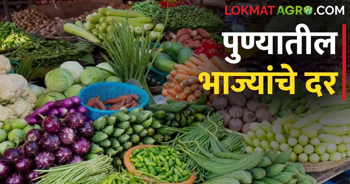 Vegetables Rates Pune : पुण्यात आज पालेभाज्या अन् फळभाज्यांना किती ...