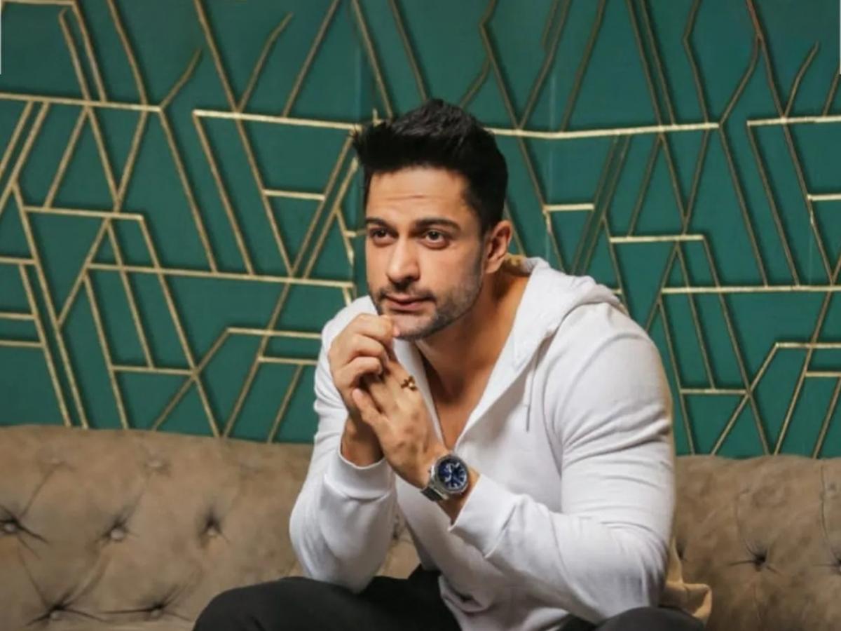 Bigg Boss 16 : बिग बॉस १६ फेम शालीन भनाेटचं नशीब फळफळलं, हाती लागला ...