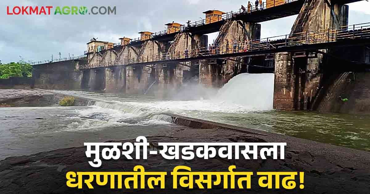Pune Flood Updates : पुणे जिल्ह्यातील मोठ्या धरणातून पाण्याचा विसर्ग ...
